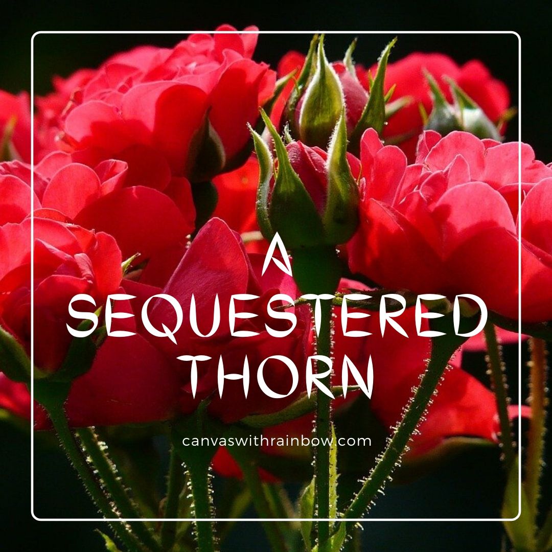 A Sequestered Thorn – CanvasWithRainbow